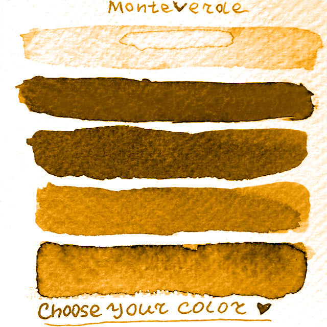 Orange Ink Cartridges – Monteverde USA